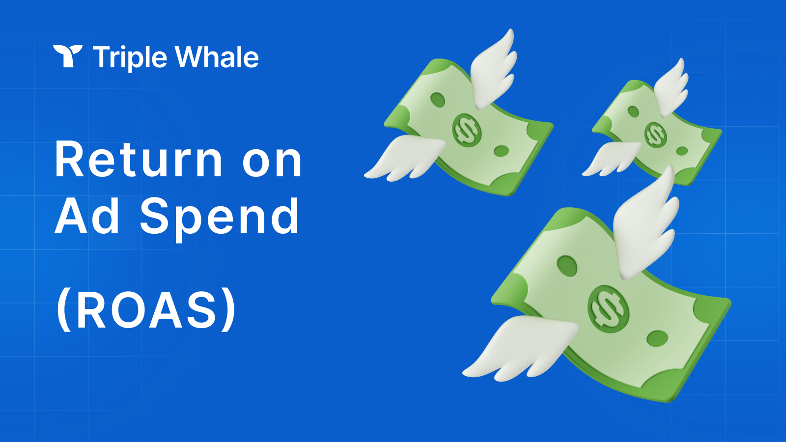Return on Ad Spend (ROAS): Meaning, Formula & Calculation | Triple Whale